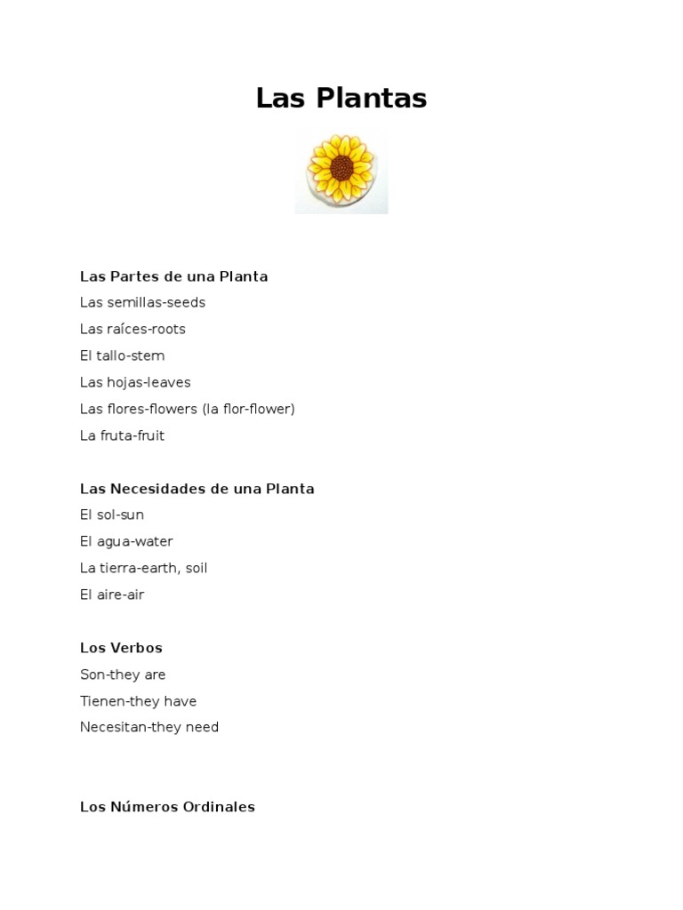Las Plantas Vocabulary | PDF