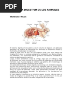 Anatomía Del Aparato Digestivo Del Cerdo | PDF | Sistema digestivo ...