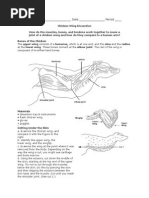 Chicken Wing Dissection Lab Report | PDF | Bone | Cartilage