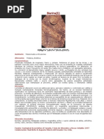 Brecha Freatomagmatica | PDF | Roca (geología) | Falla (geología)