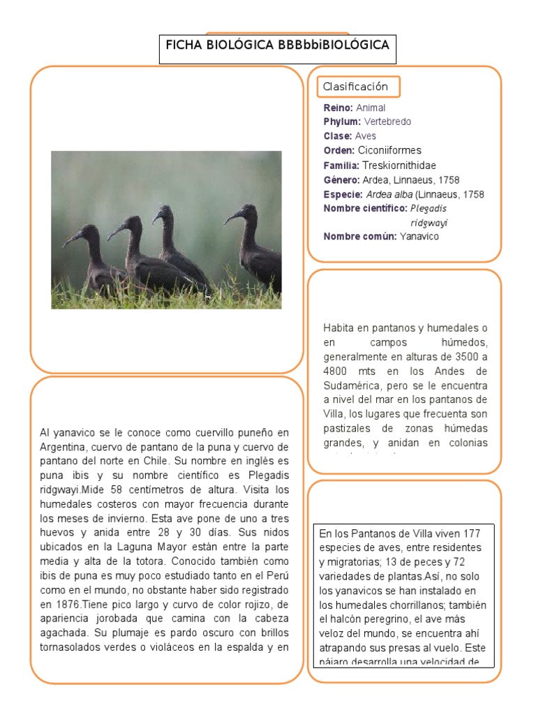 Ficha Biologica | Descargar gratis PDF | Paravianos | Aves holarctic