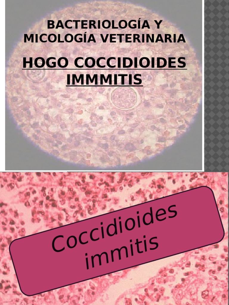 exposicion coccidioides immitis.pptx | Hongo | Plantas