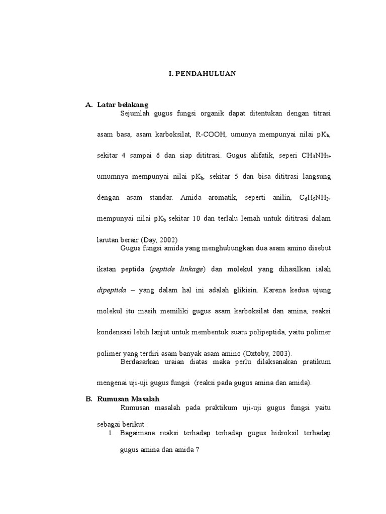 Amina Dan Amida | PDF