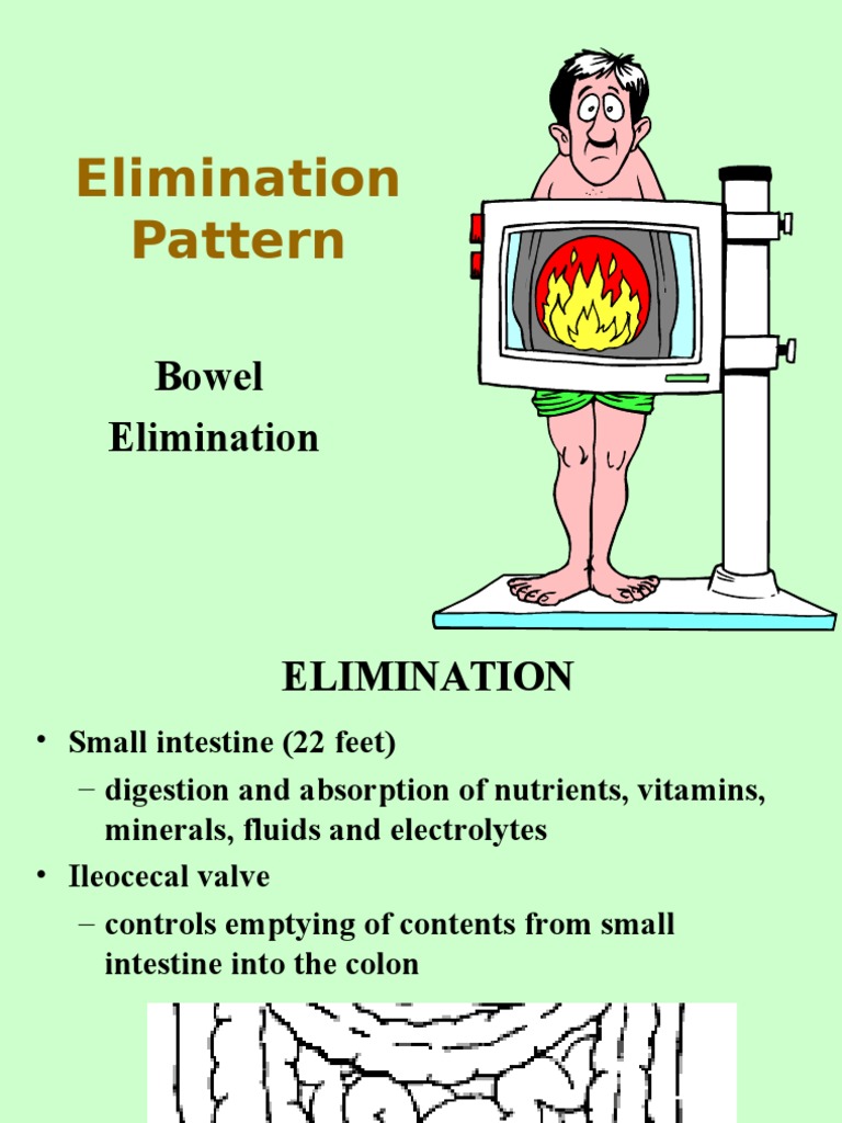 Bowel Elimination | PDF | Constipation | Large Intestine