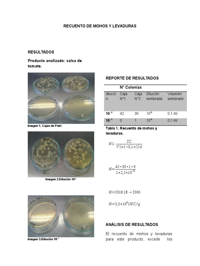 Practica de Mohos y Levaduras | PDF | Microorganismo | Laboratorios