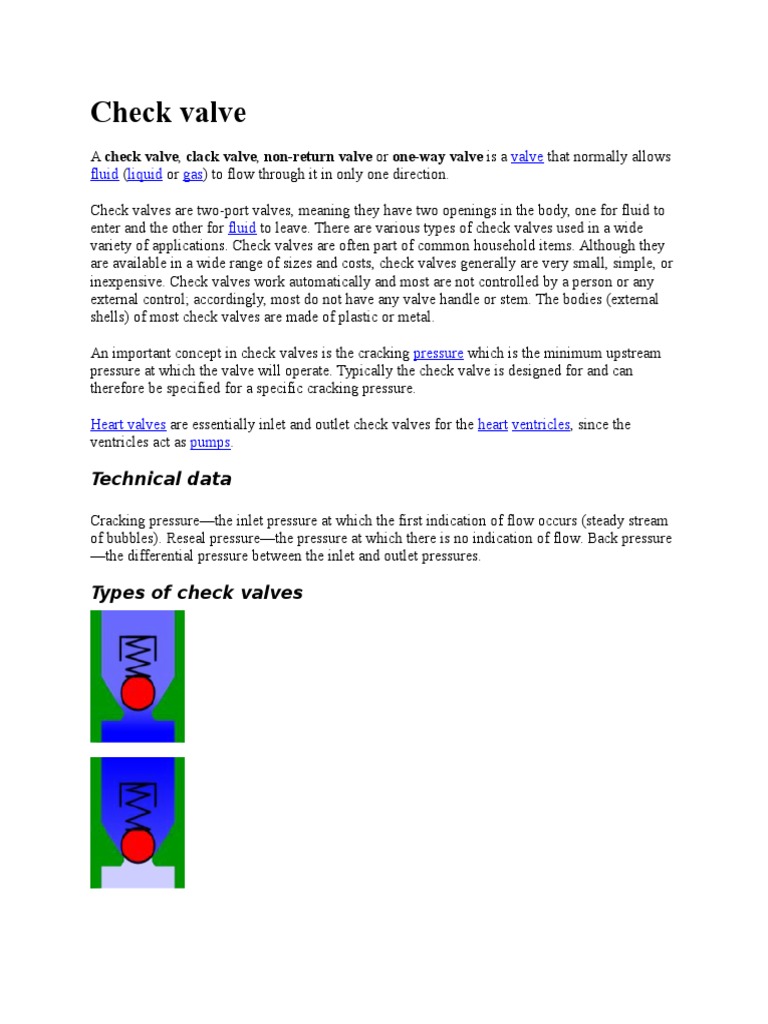 Check Valve: Valve Fluid Liquid Gas | PDF | Valve | Hydraulic Engineering