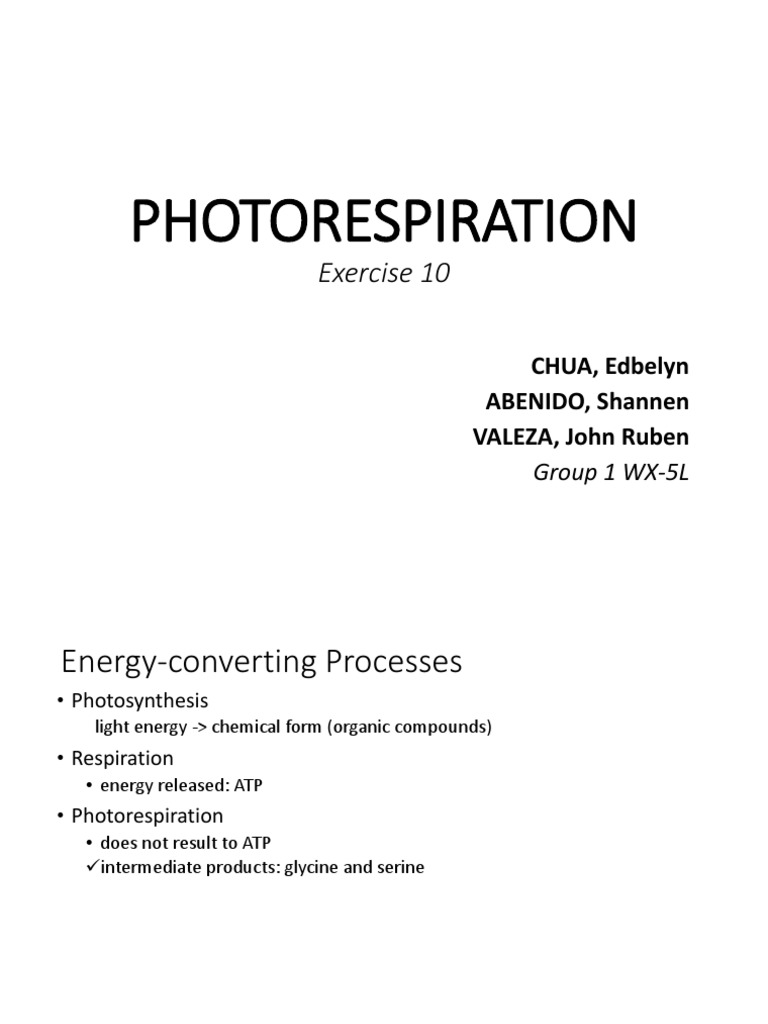 Exer 10 Photorespiration | PDF | Photosynthesis | Biology