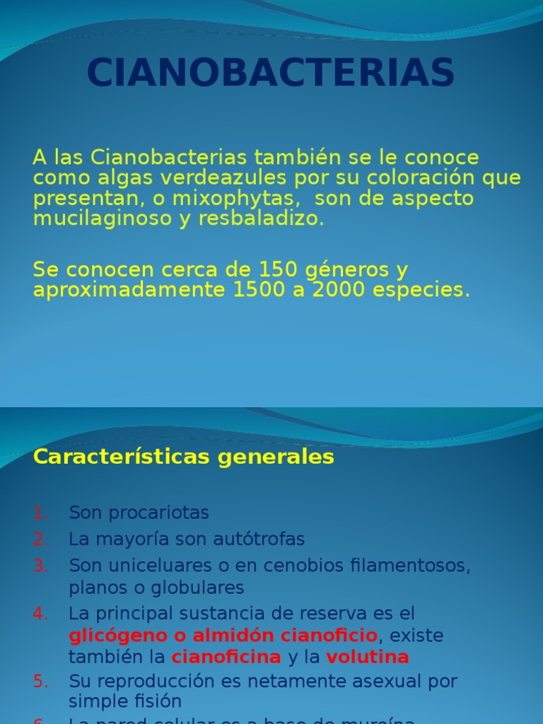 Ciano Bacterias | Cianobacterias | Célula (Biología)