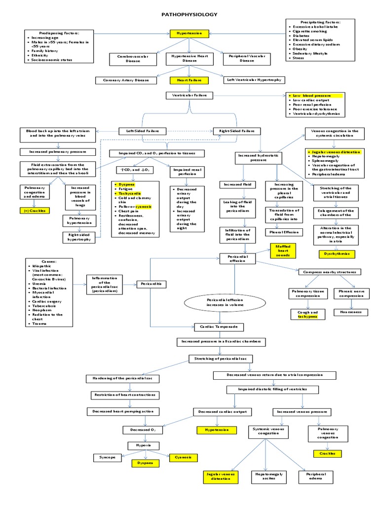 Pathophysiology of HTN and CHF Leading to Pleural Effusion Causing ...