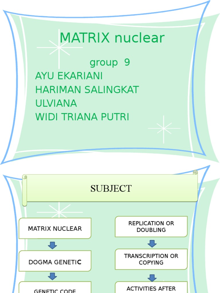 Matrix Nuclear | PDF | Dna | Dna Replication