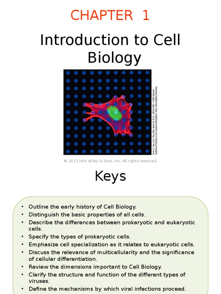 Introduction To Cell Biology | PDF | Eukaryotes | Virus
