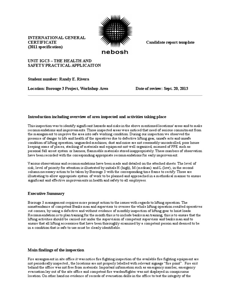 175302235 Intro Summary Main Findings and Conclusion | Occupational ...