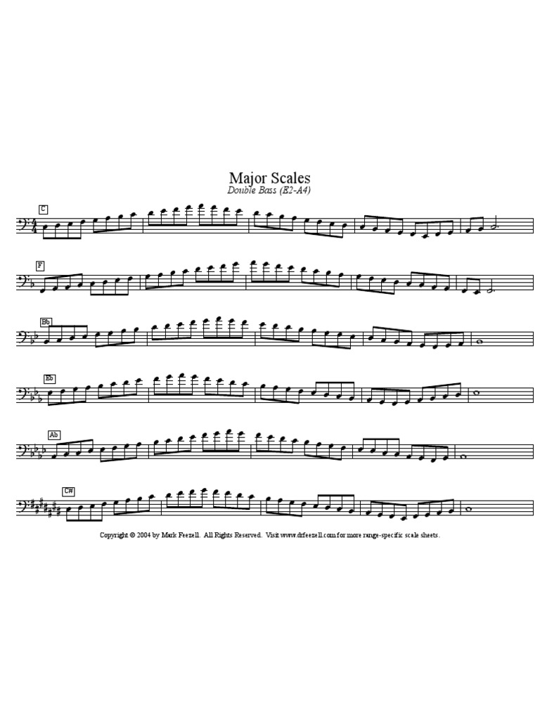 DoubleBassE2 A4 Exercise | PDF | All Rights Reserved | Music Theory
