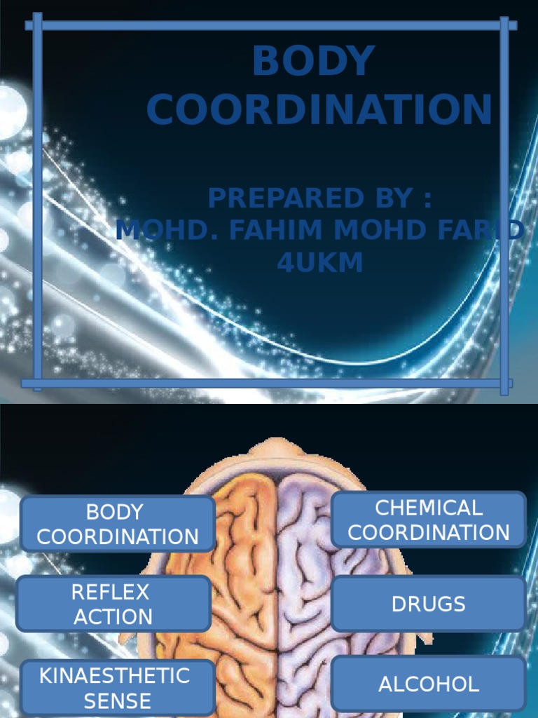 Body Coordination: Prepared By: Mohd. Fahim Mohd Farid 4ukm | PDF ...
