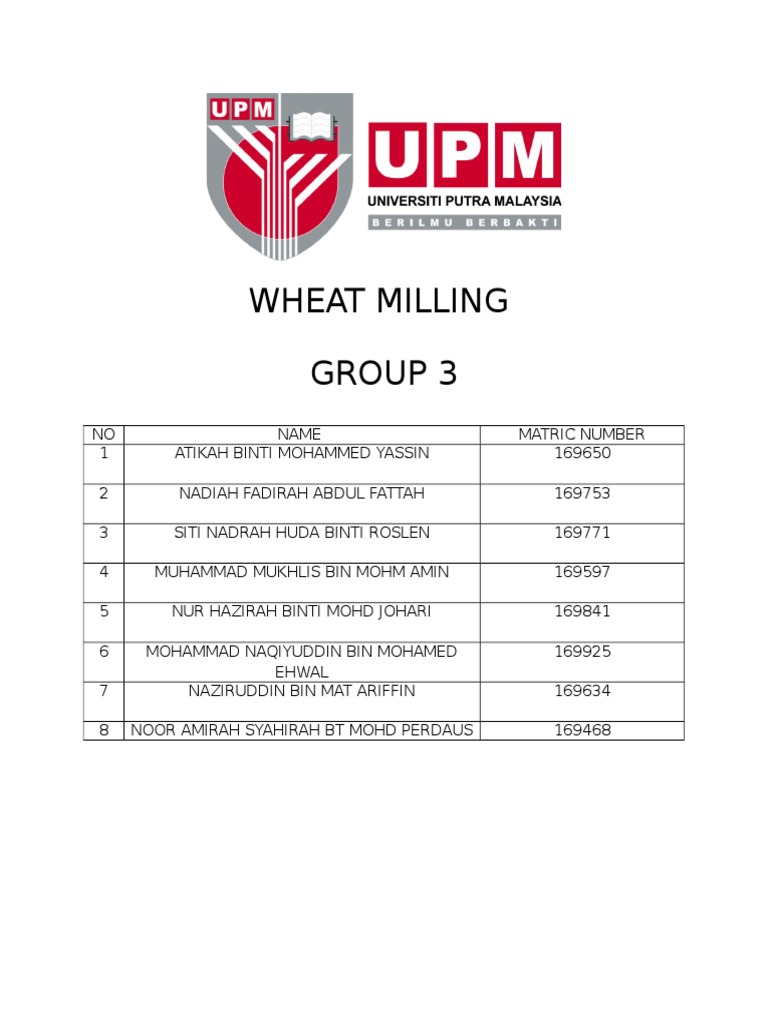 Wheat Milling | PDF | Flour | Wheat