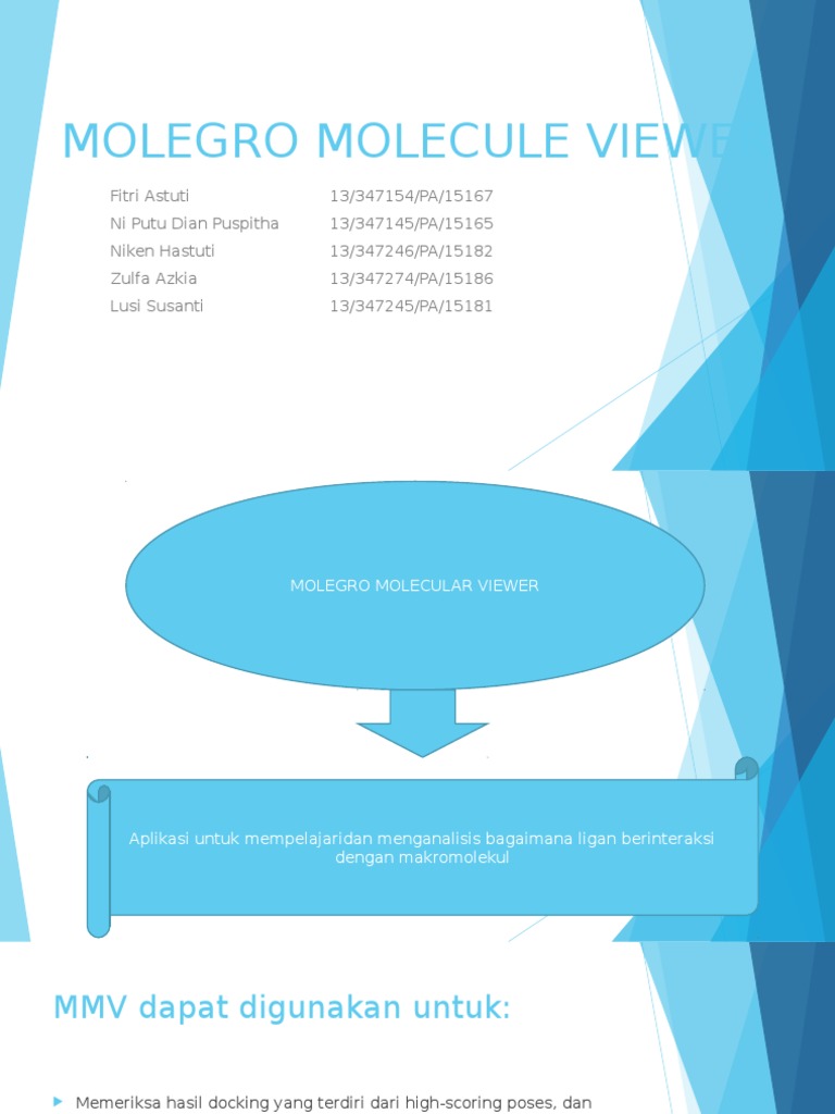 Molegro Virtual Docker | PDF