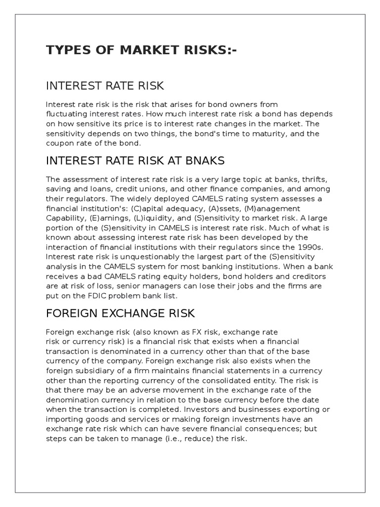 Types of Market Risks | PDF | Financial Risk | Business Economics