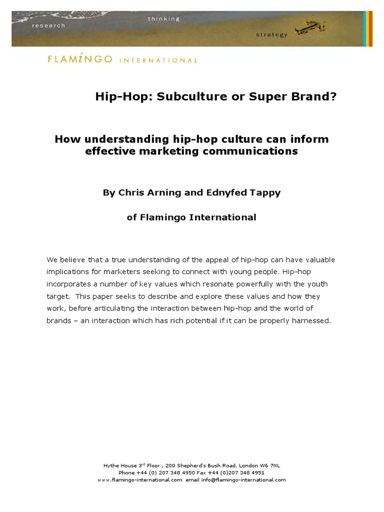 Hip-Hop: Culture and Marketing Insights | PDF | Hip Hop Music | Hip Hop