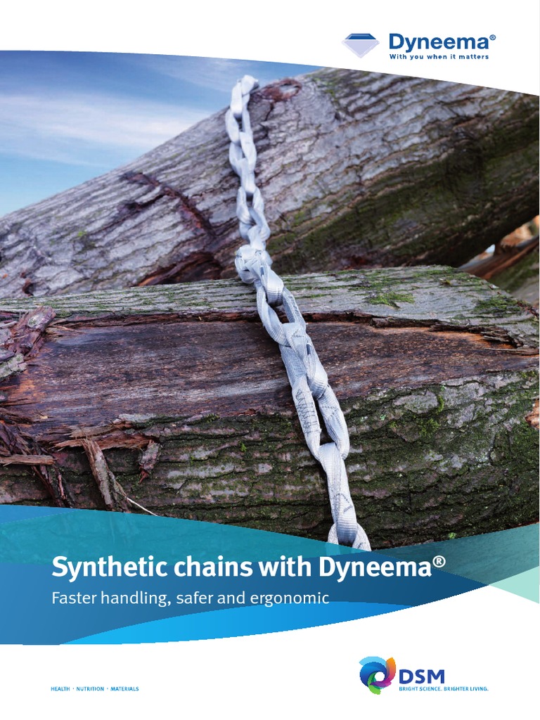DSM Synthetic Chains Brochure DEF | PDF | Materials | Nature