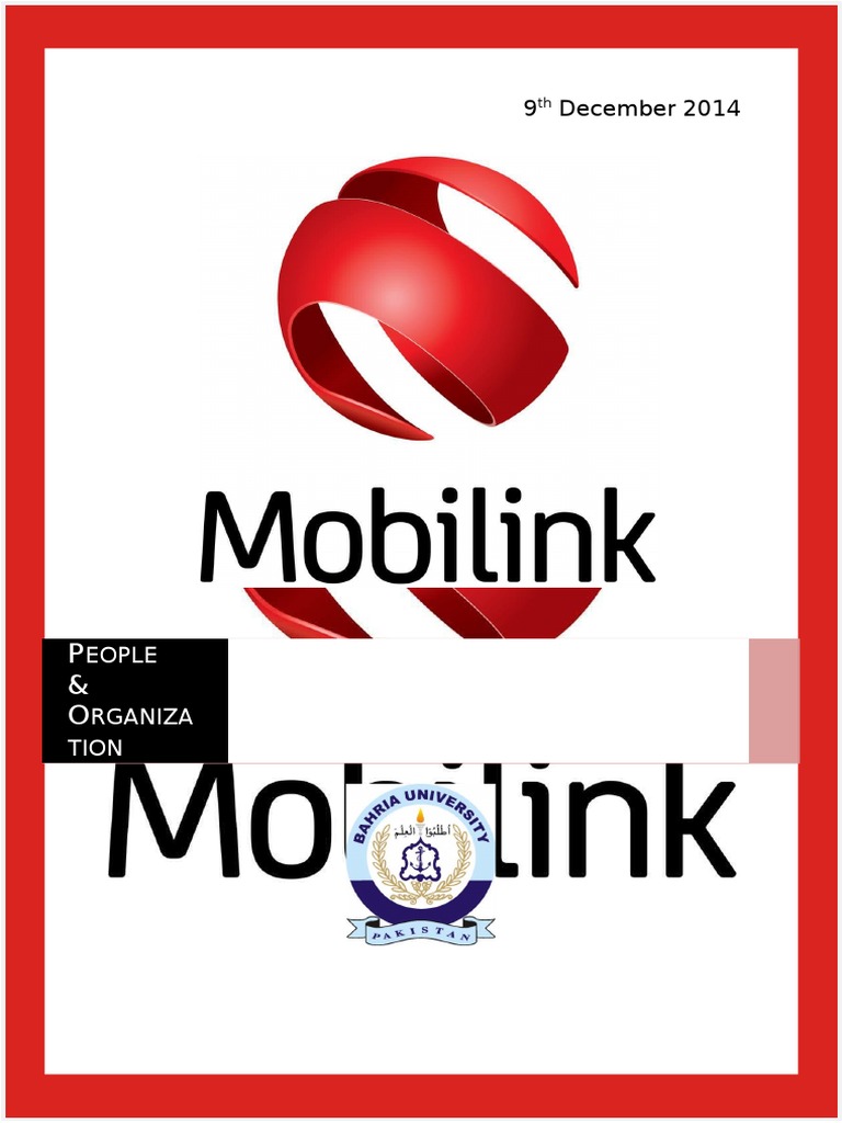Mobilink Team Project Report | PDF | Strategic Management | Leadership