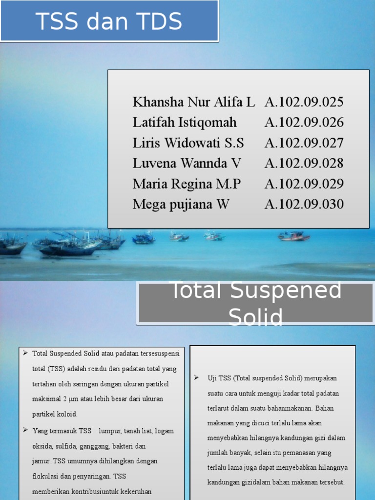 Tss Dan Tds Kelompok 5 Pdf