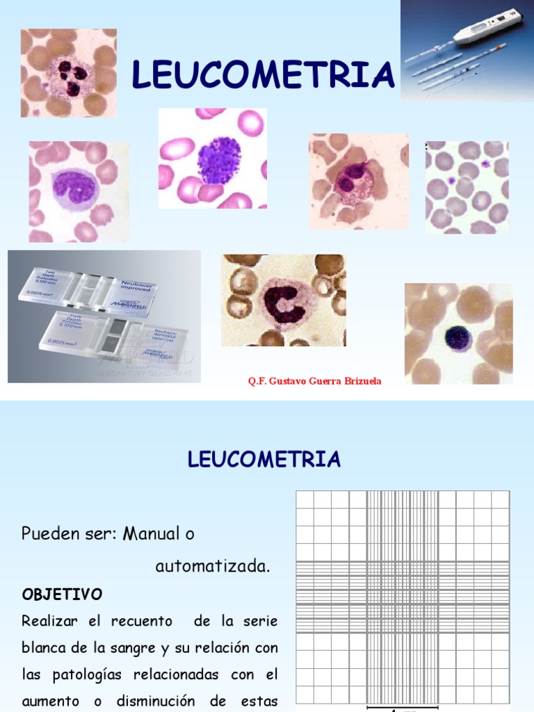 Clase Leucometria | PDF | Leucocito | Especialidades Medicas