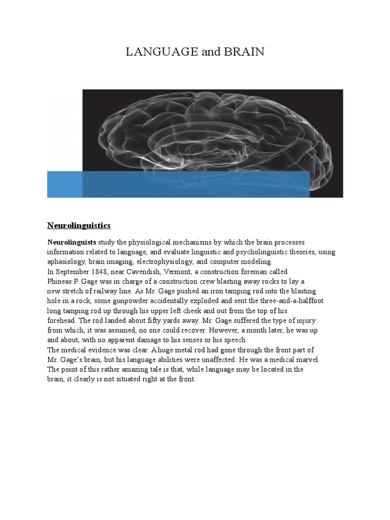 Language and Brain | PDF | Speech | Neurolinguistics