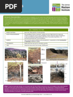 Characteristics and Formation of Podzols | PDF | Soil Science | Soil