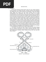 Pupil Isokor dan Anisokor: Penjelasan | PDF