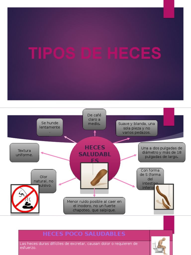 Heces en Forma de Cinta: Significado y Tipos | PDF | Heces ...