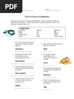 Types of Animals: Grade 2 Science Worksheet | PDF | Home & Garden ...