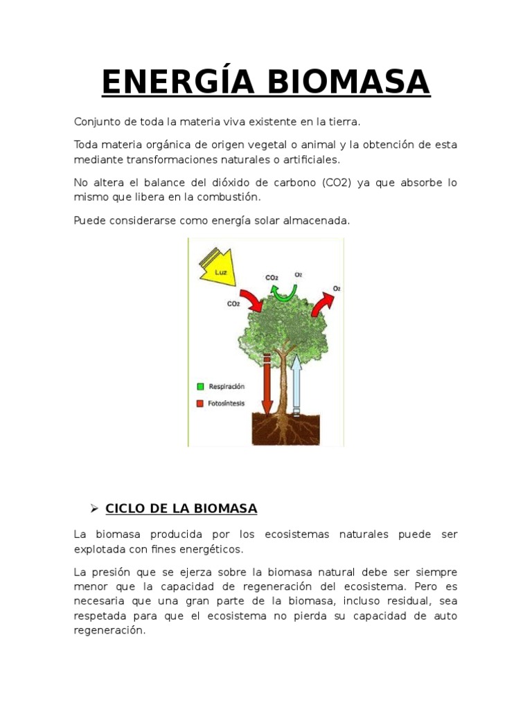 Energía Biomasa | PDF | Biomasa | Combustibles