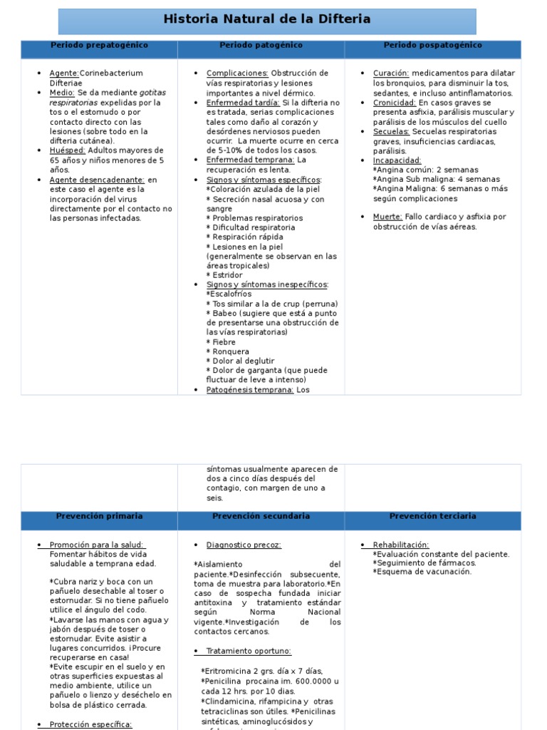 Historia Natural de La Difteria | Descargar gratis PDF | Epidemiología | Enfermedades y trastornos