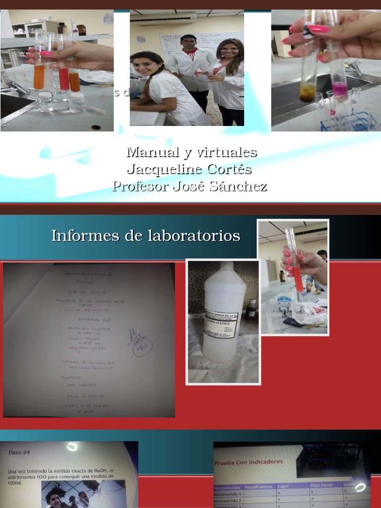 Informe de Laboratorios | PDF