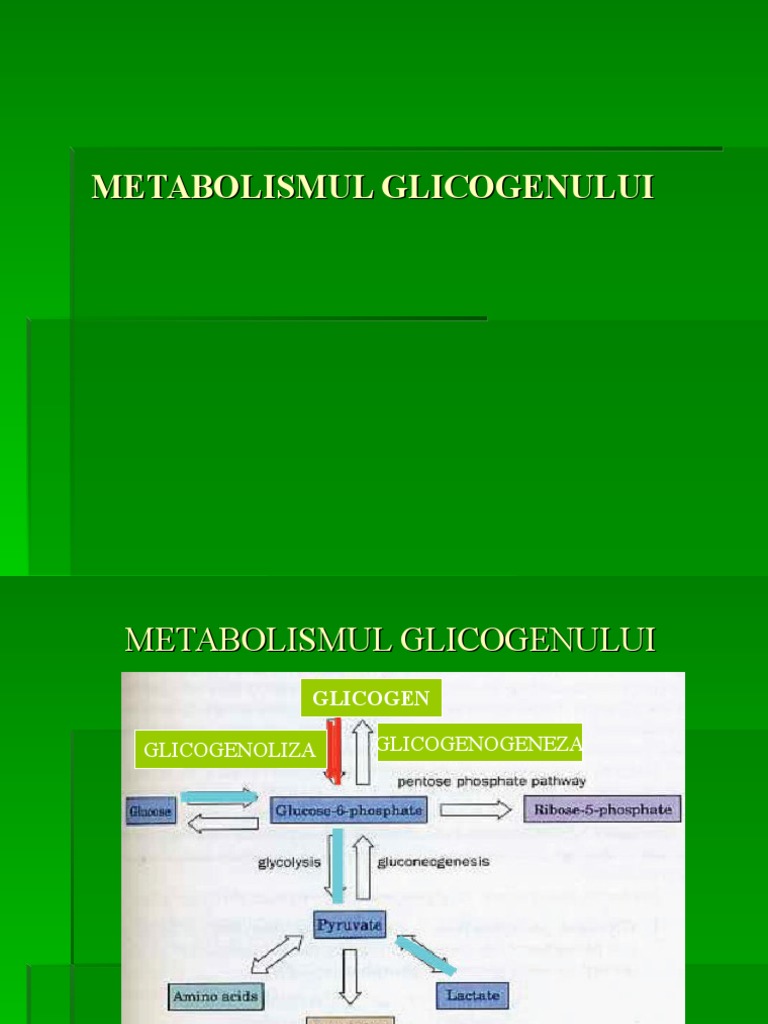 metabolismul-glicogenului