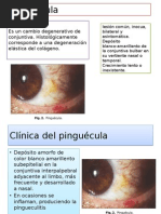 Clasificación de Bockus | PDF | Abdomen | Inflamación