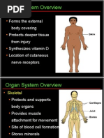 Overview of Human Body Systems | PDF | Human Body | Blood