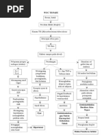 Woc Efusi Pleura-1 | PDF