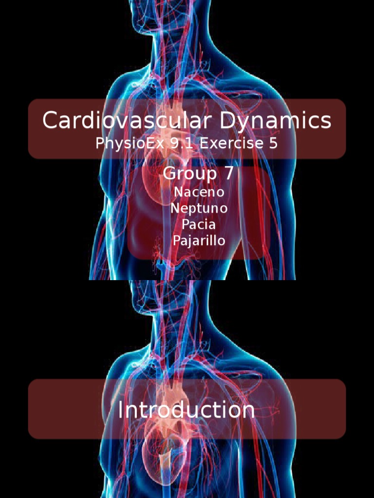 Cardiovascular Dynamics Physiolab | PDF | Heart | Heart Valve