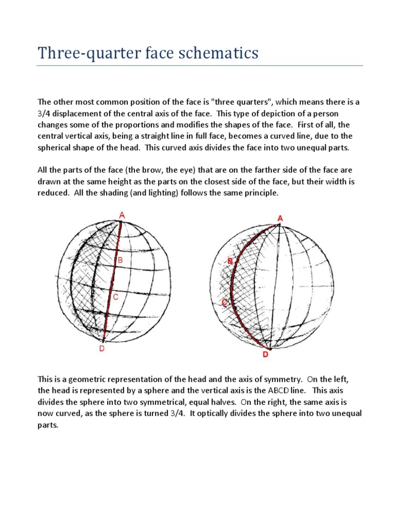 Three-Quater Face Schematics PDF | Download Free PDF | Cartesian ...