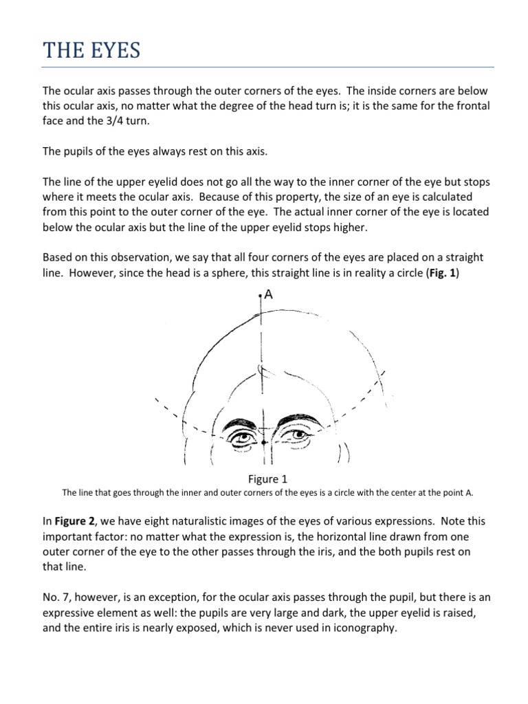 The Eyes PDF | PDF | Human Eye | Eye