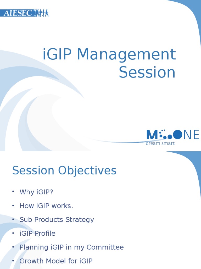 Igipmanagemen001 Phpapp02 | PDF | Sales | Economies