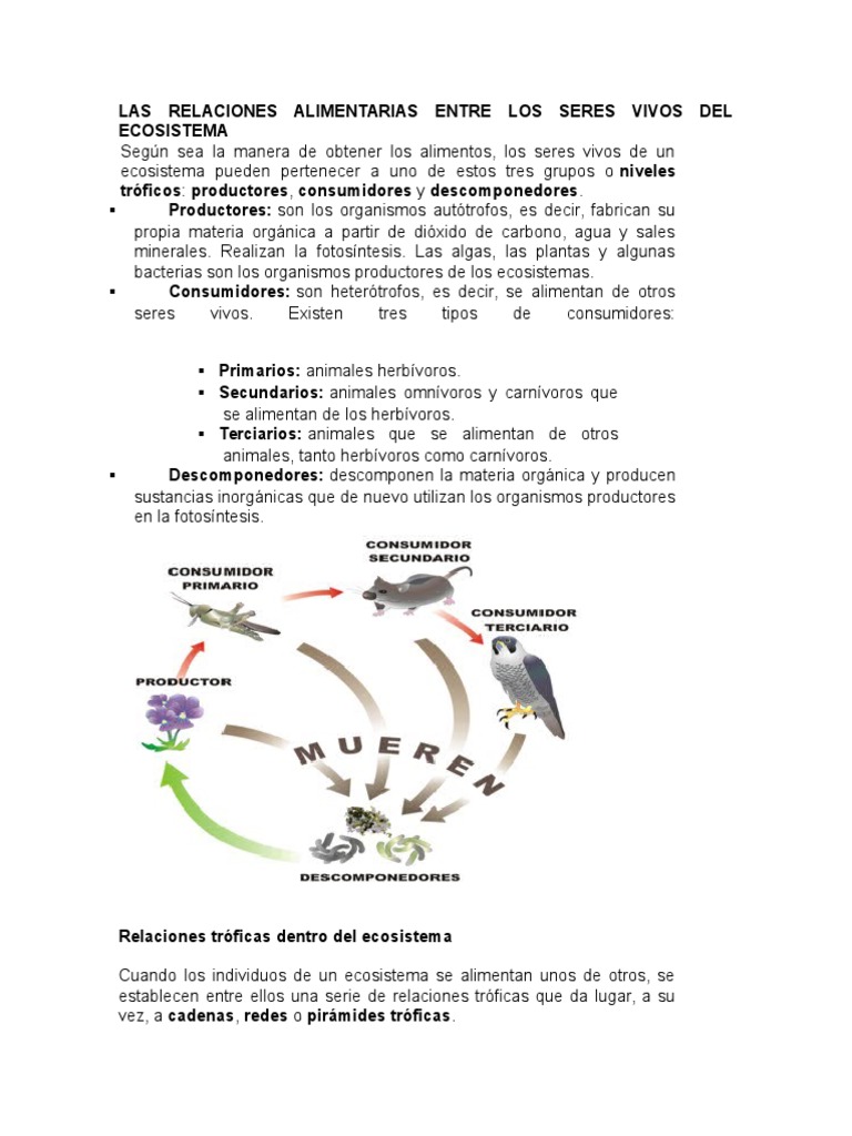 Relaciones alimentarias en ecosistemas | PDF
