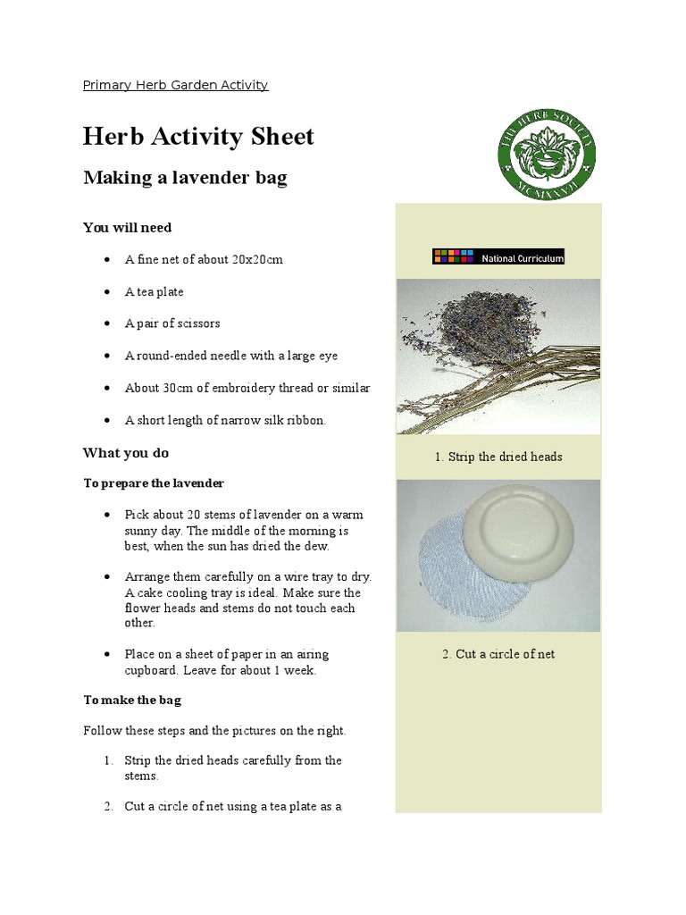Primary Herb Garden Activity | PDF | Plants | Horticulture And Gardening