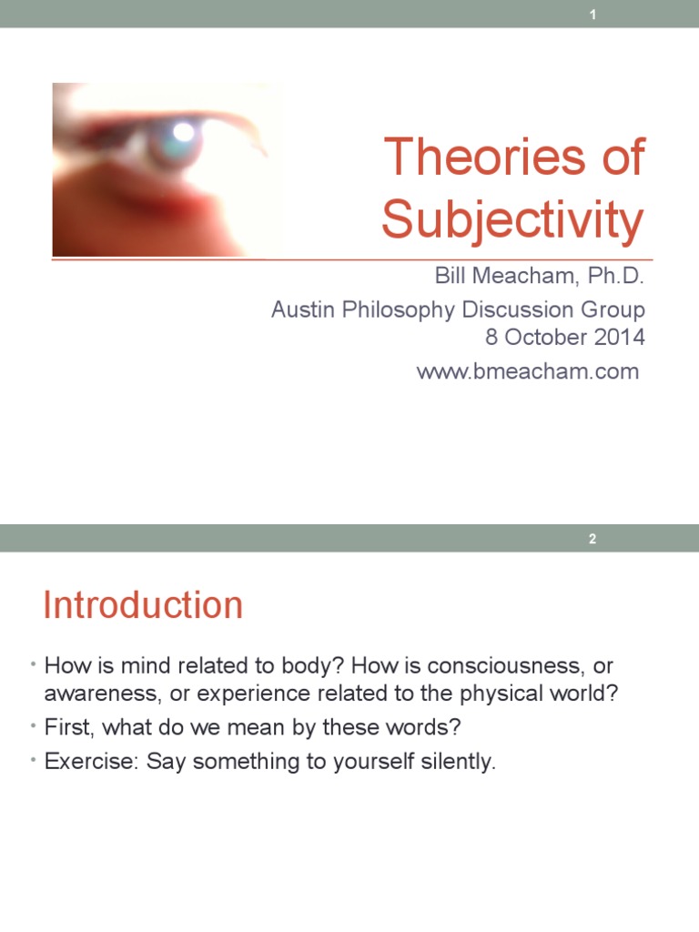 Theories of Subjectivity Explained | PDF | Materialism | Consciousness