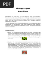 Fish Nares: Smell Mechanism Explained | PDF | Olfaction | Fish