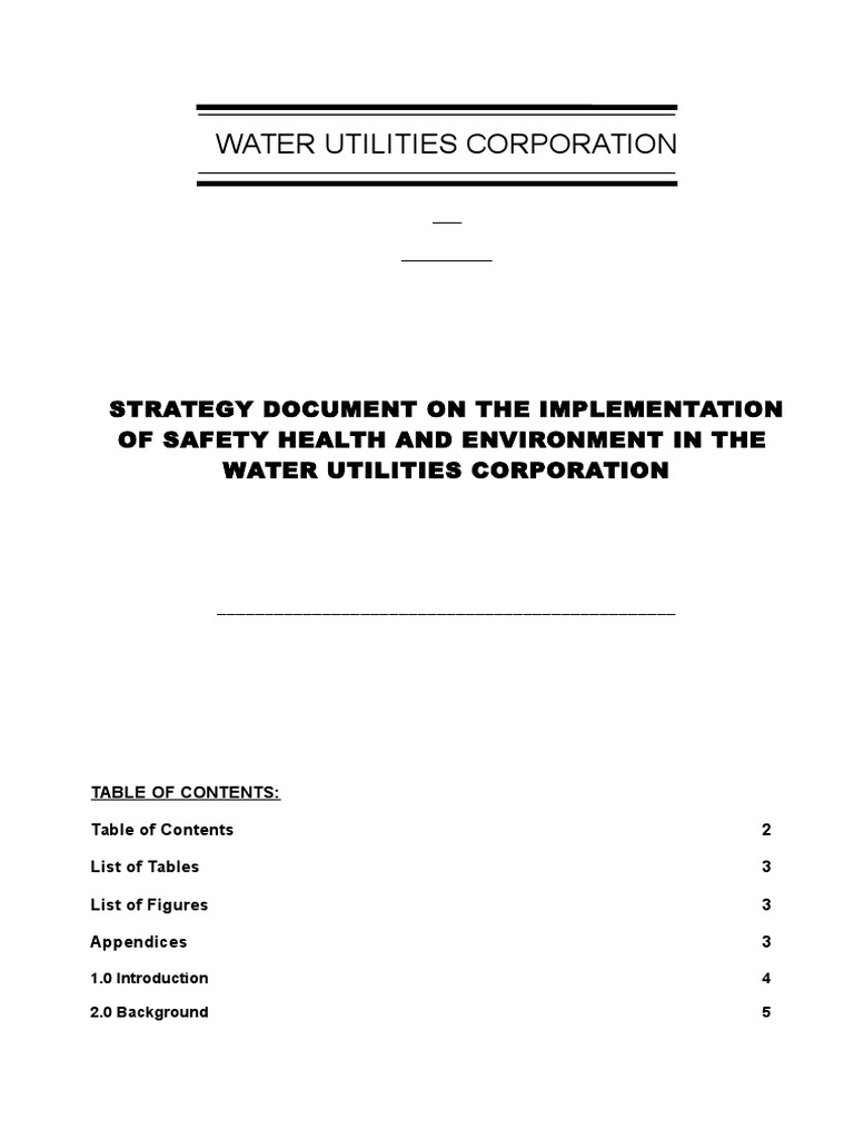 She Strategy Document | PDF | Occupational Safety And Health ...