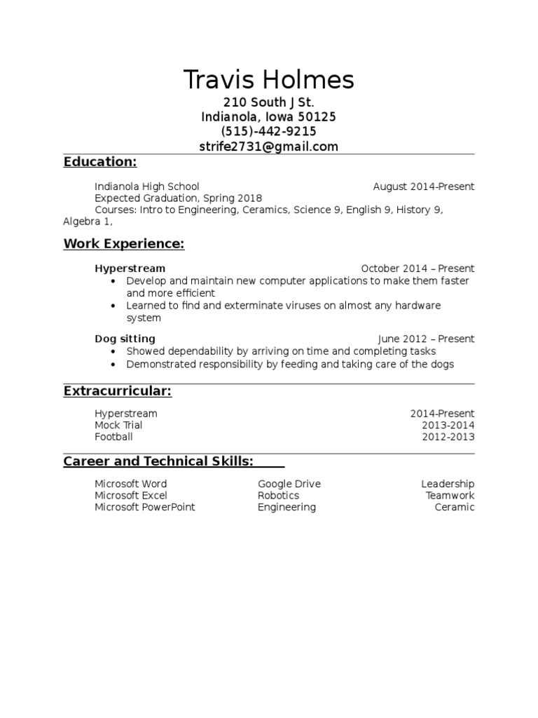 Travis Holmes: Resume Overview | PDF | Art