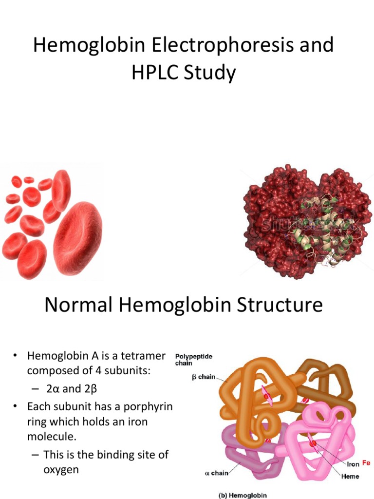 Hemoglobin Analysis: Electrophoresis vs HPLC | PDF | Hemoglobin | Anemia