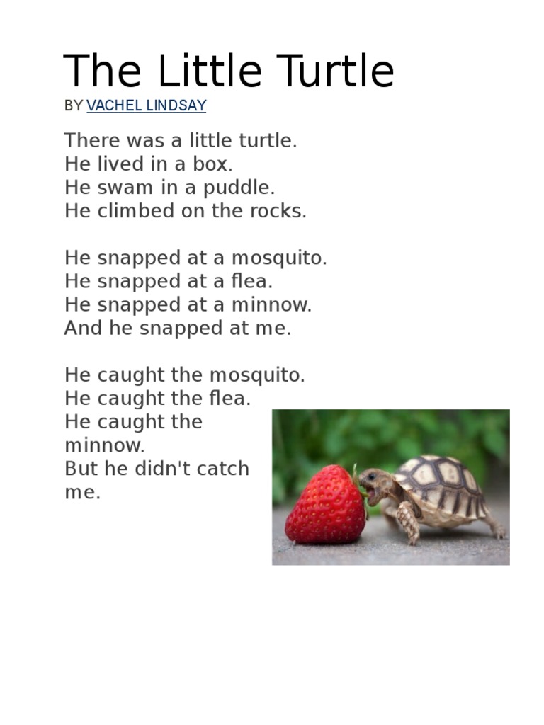 The Little Turtle Poem | PDF